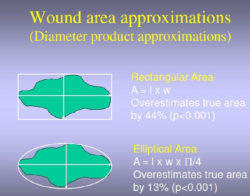 The Importance Of Accuracy In Wound Measurement - ARANZ Medical